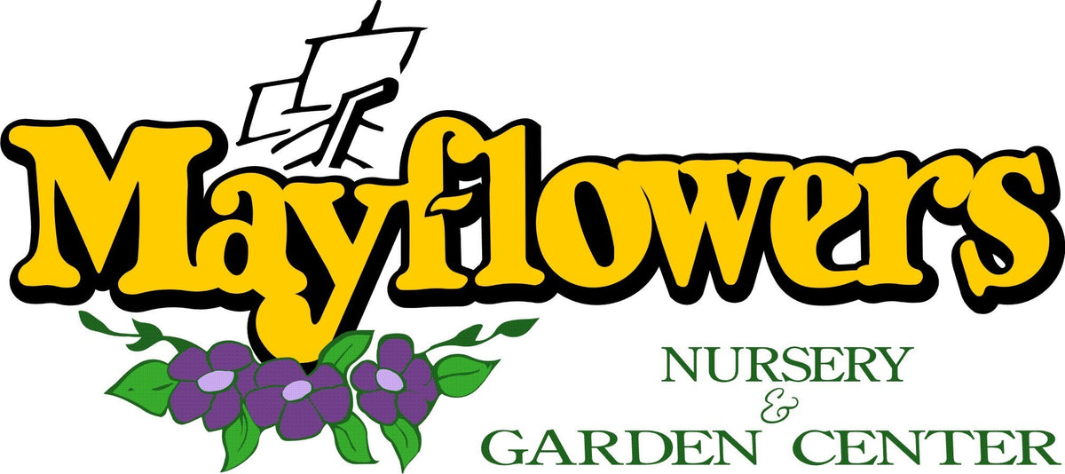 About Us – Mayflowers Nursery & Garden Center